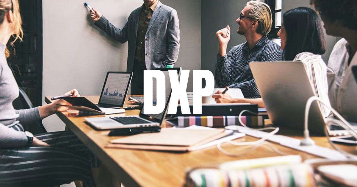 DXP | SAYTAR - Your Partner in Tech Innovation | Custom IT Solutions ...
